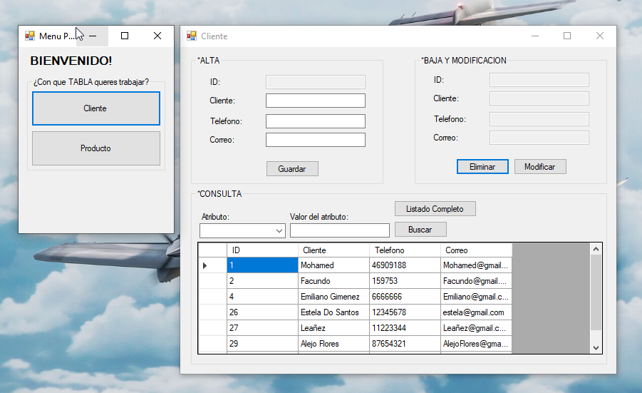 Portafolio | Flores Alejo